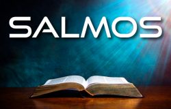 Salmos - Tu Producto Virtual